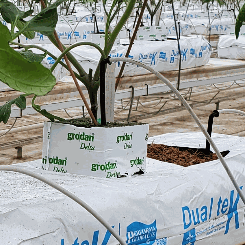 Home | Groupe horticole ledoux inc.